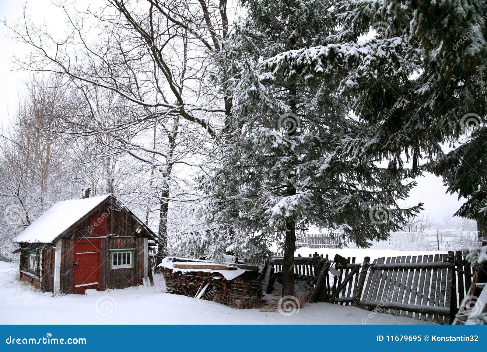 Winter in rural area stock image. Image of pine, white - 11679695
