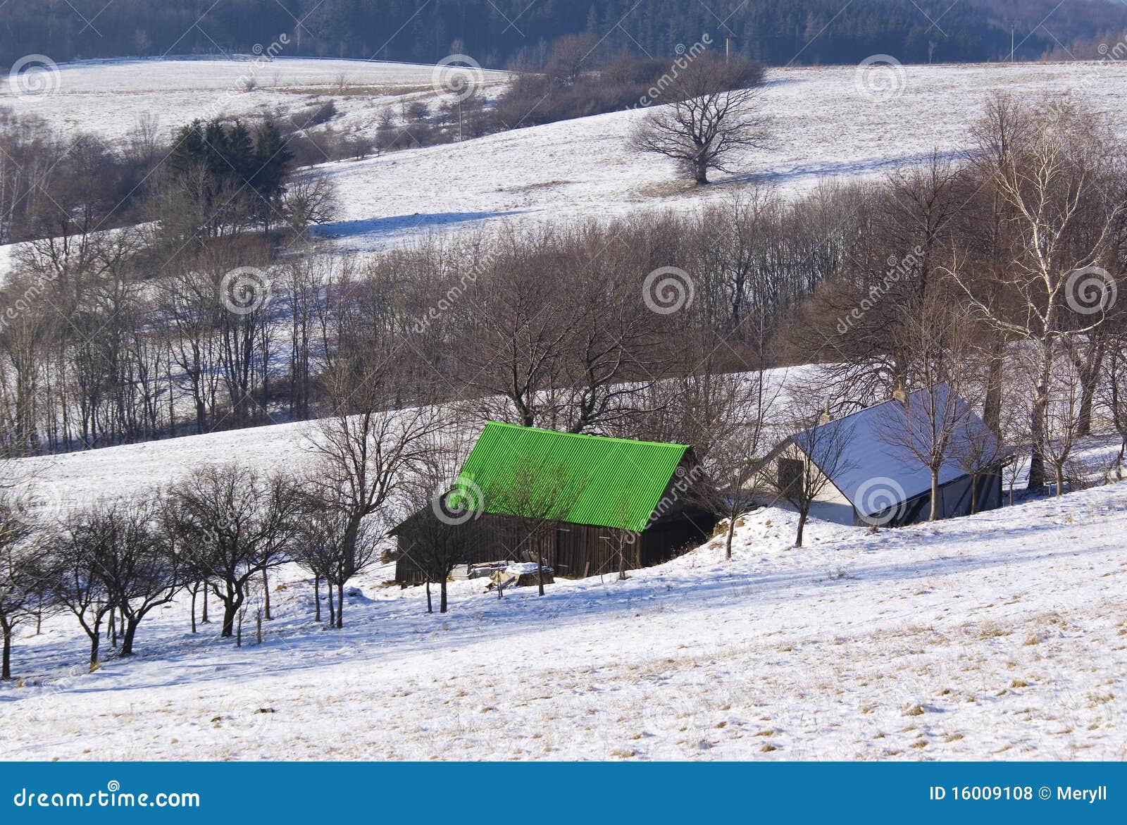 Winter rural landscape stock photo. Image of calm, green - 16009108