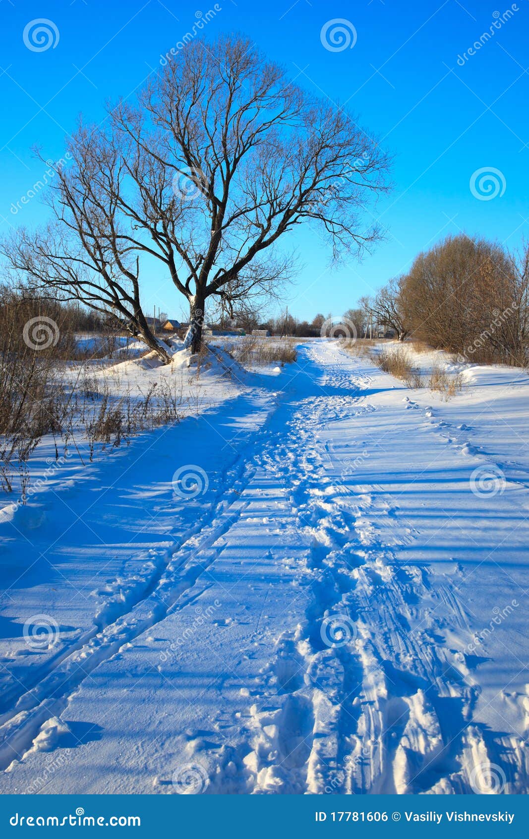 Winter rural landscape. stock photo. Image of natural - 17781606