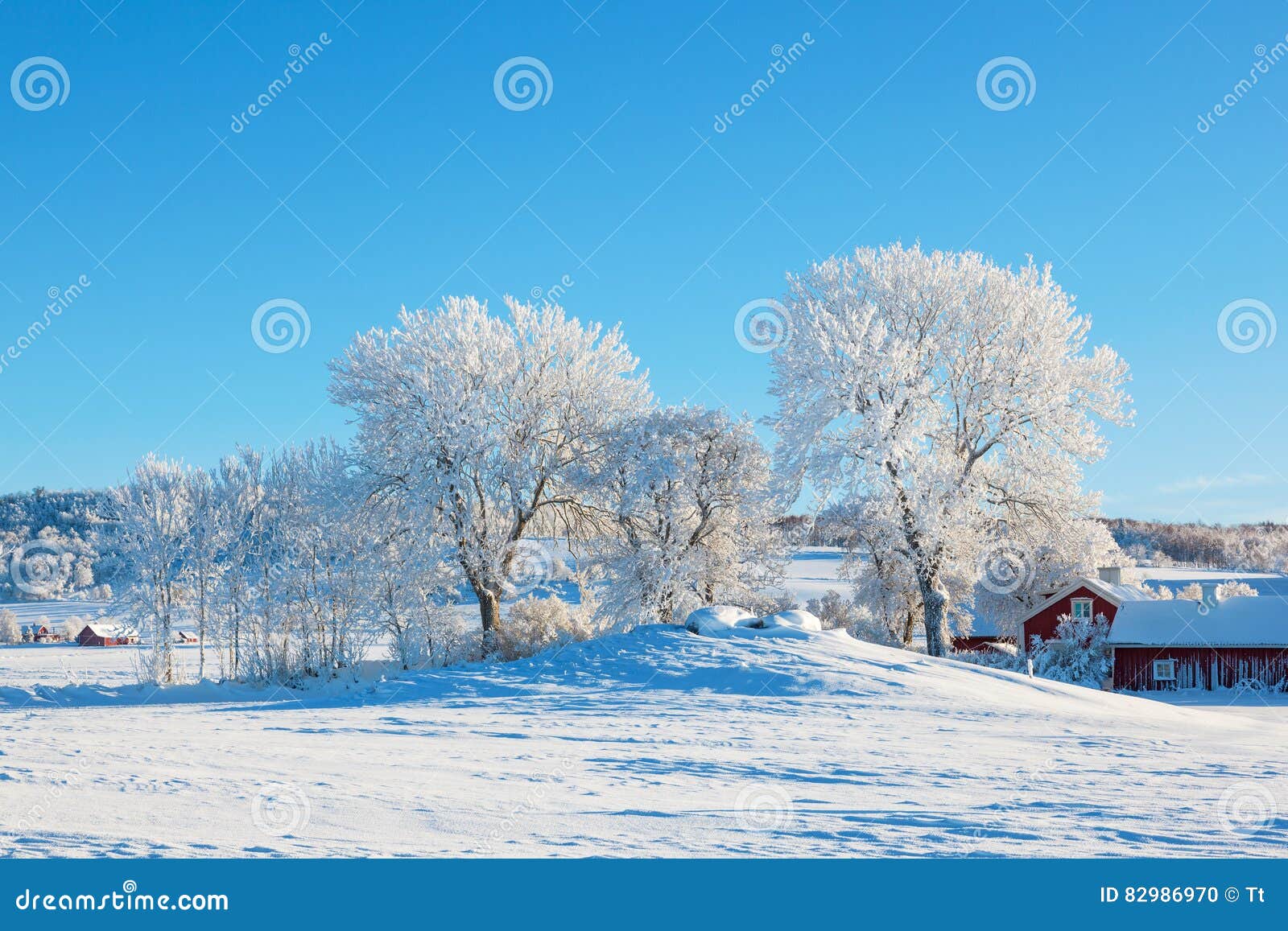 Winter rural landscape stock photo. Image of countryside - 82986970