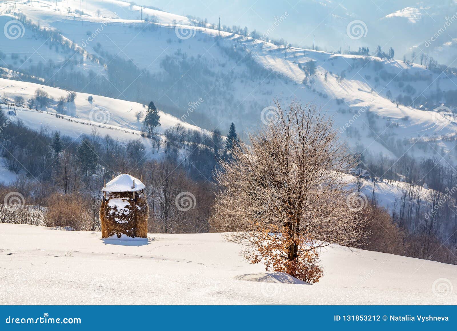 Winter Rural Landscape, Haystack and Lonely Tree on the Backgr Stock ...