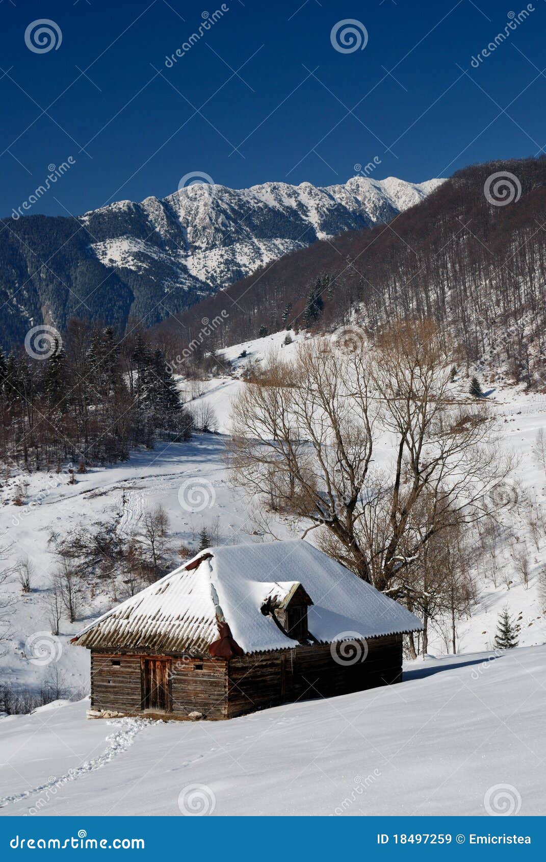 Winter Rural Landscape in Romania Stock Image - Image of visit, fence ...