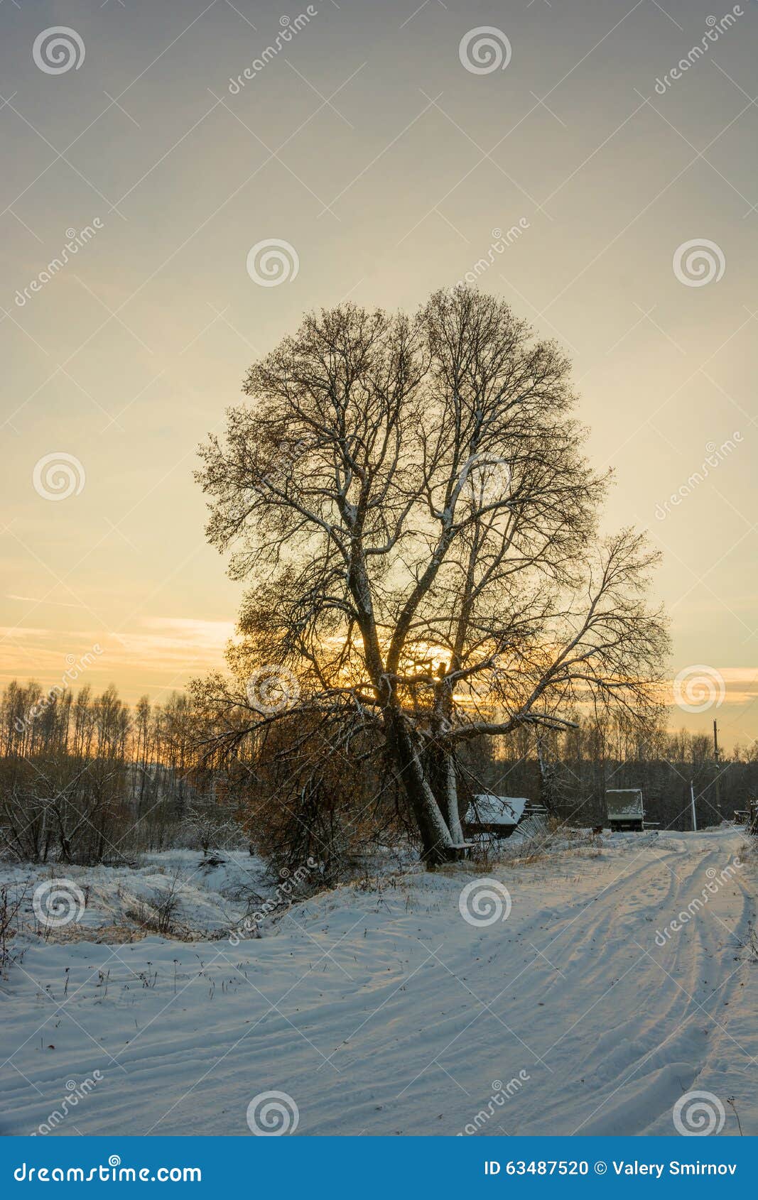 Winter rural landscape. stock photo. Image of frost, sunset - 63487520