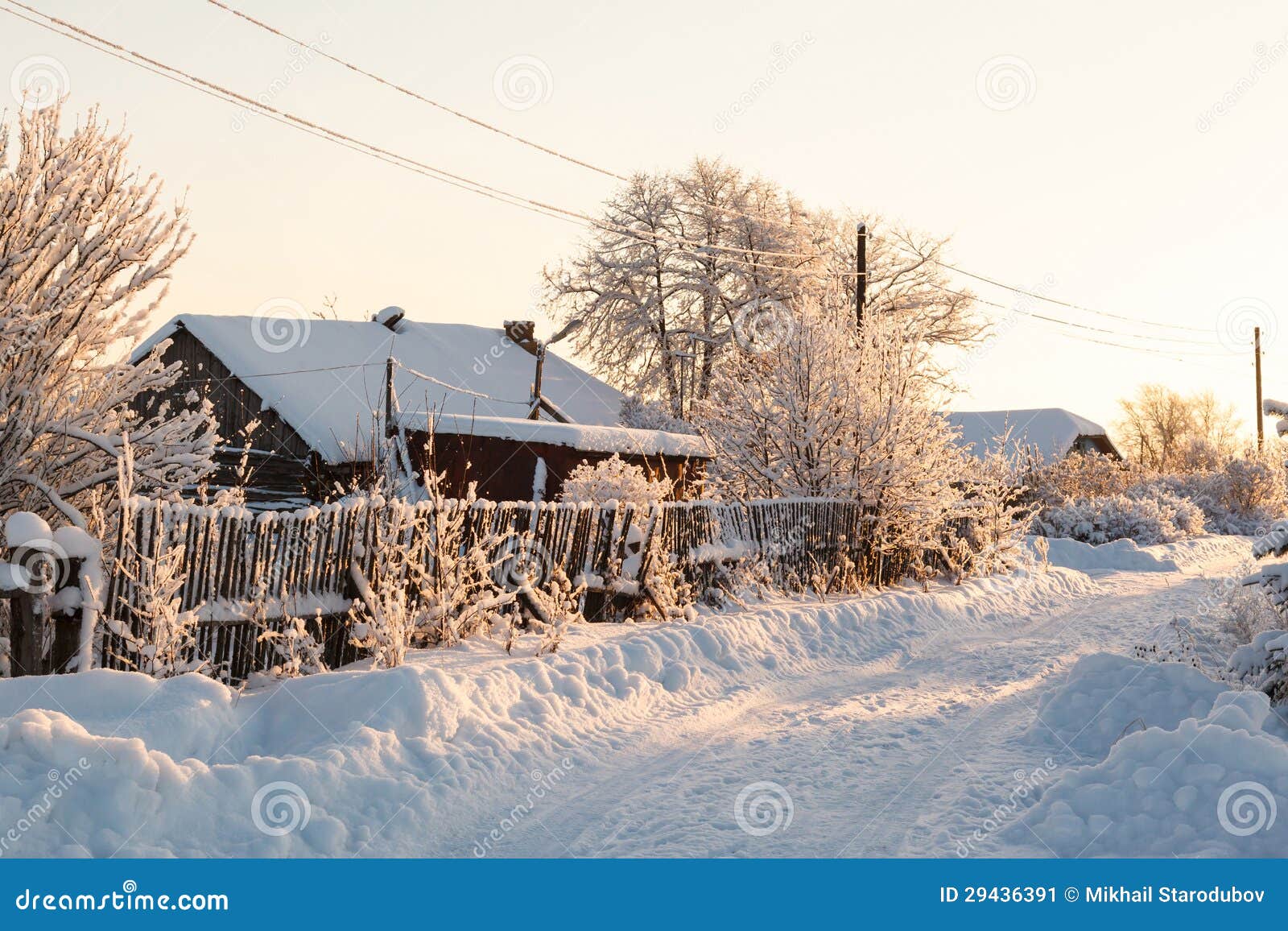 Winter Rural Road and Trees in Snow Stock Image - Image of frozen ...