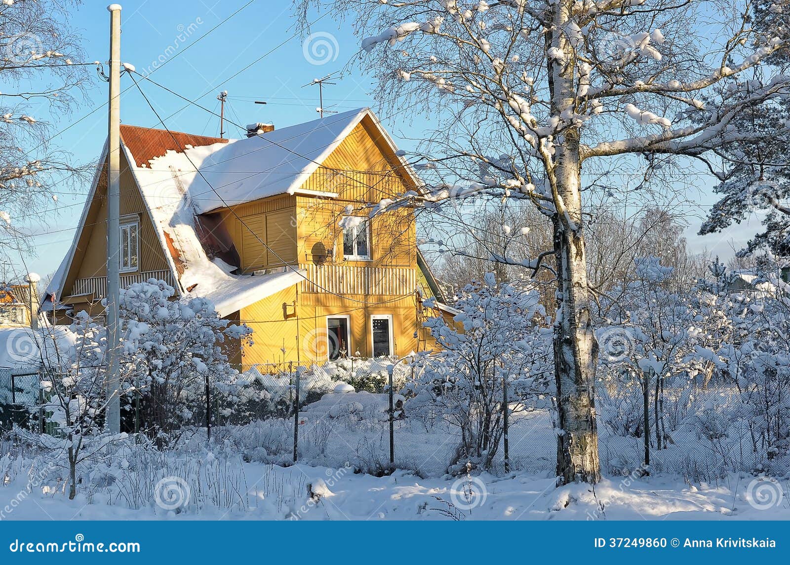 Winter Rural Road and Trees in Snow Stock Photo - Image of heap ...