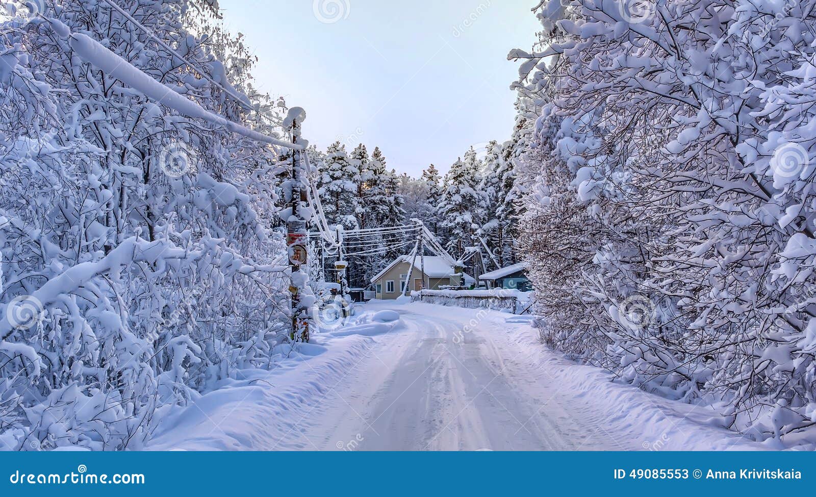 Winter Rural Road and Trees in Snow Stock Image - Image of lane, forest ...