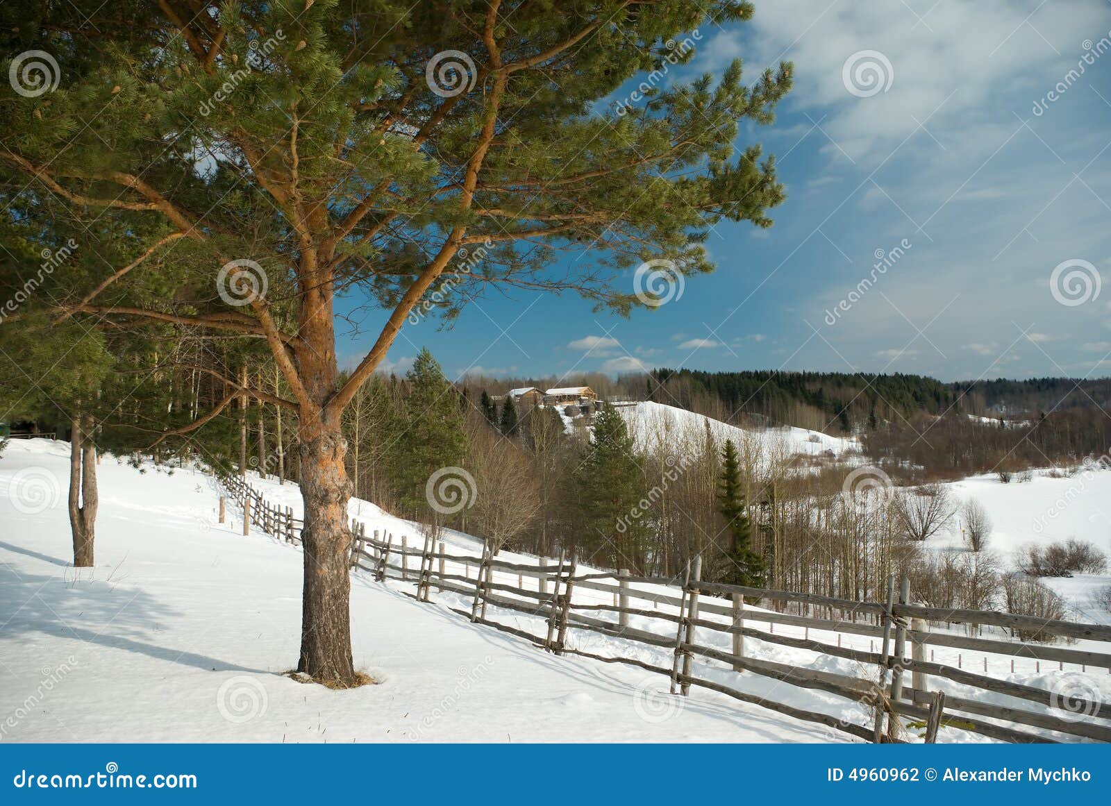 Winter Rural Russian Landscape Stock Photo - Image of branch ...