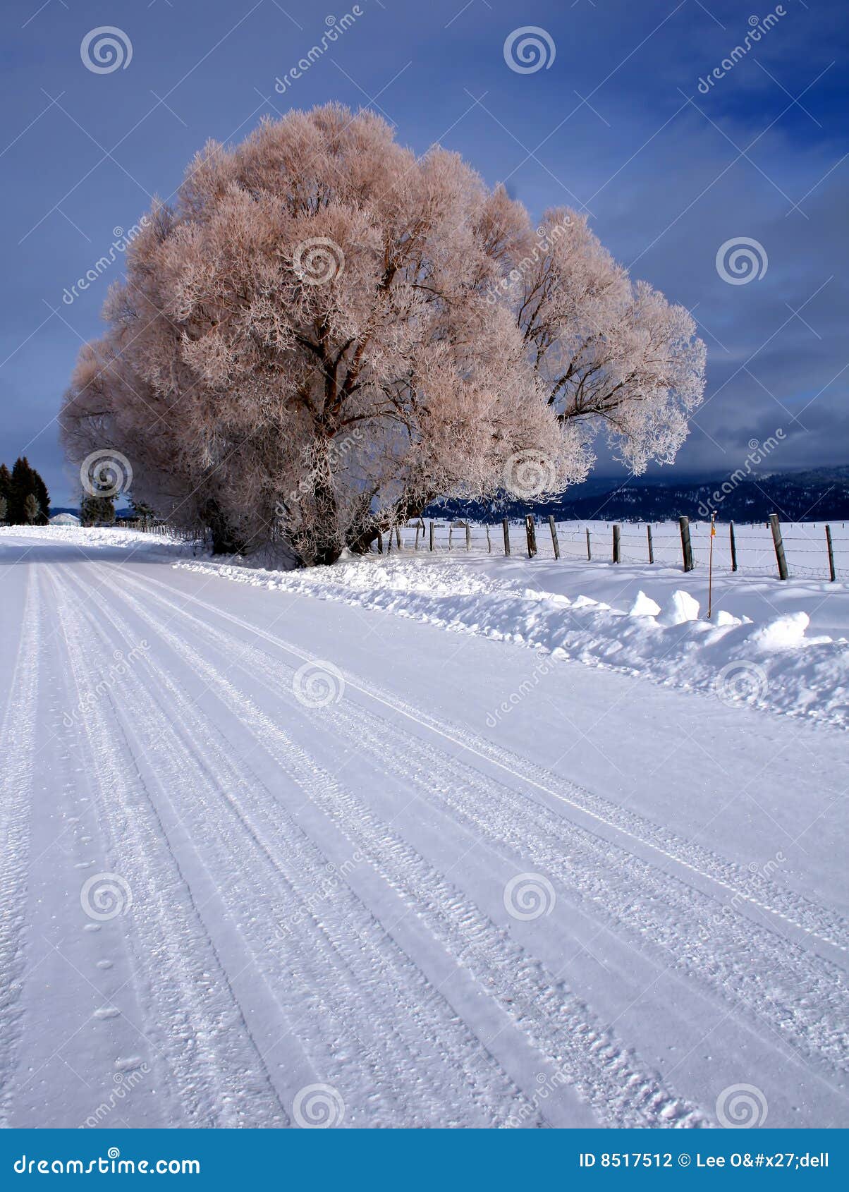 Winter Rural Scene 3 stock photo. Image of cold, scenic - 8517512