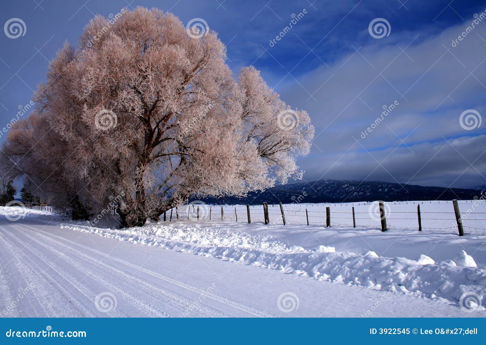 Winter Rural Scene 4 stock image. Image of fenceline, road - 3922545