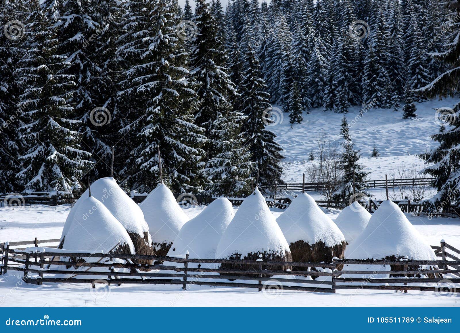 Winter Rural Scene. Snow Covered Haystacks Stock Image - Image of grass ...