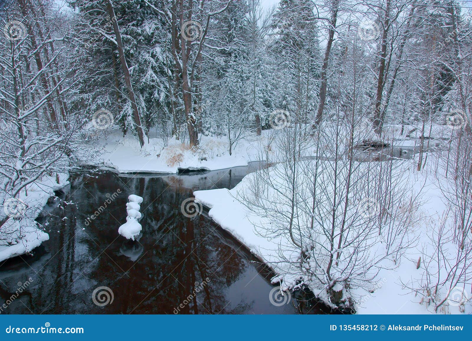 Forest river has no ice stock photo. Image of slowly - 135458212