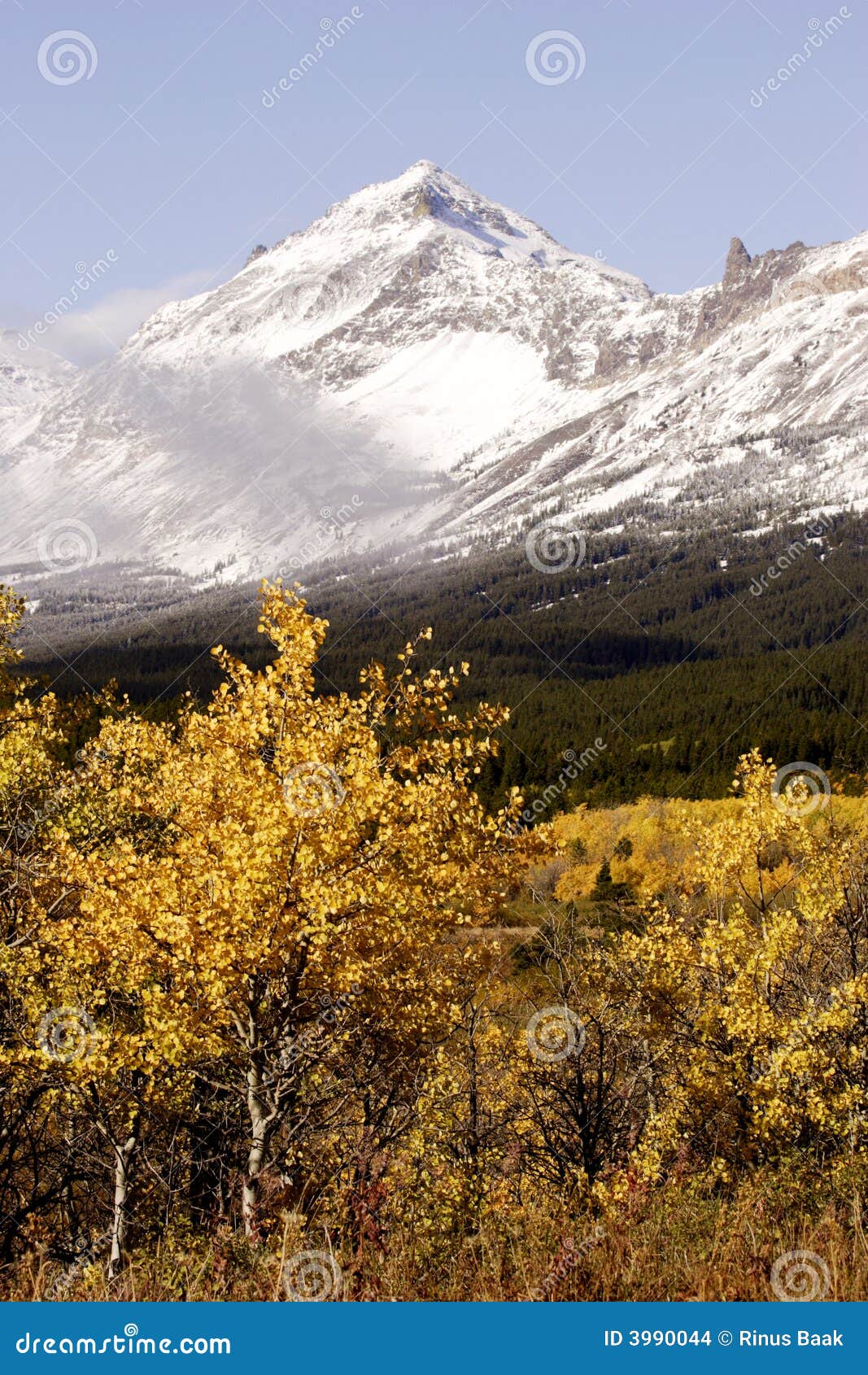 Winter s Approach stock photo. Image of trees, mountains - 3990044