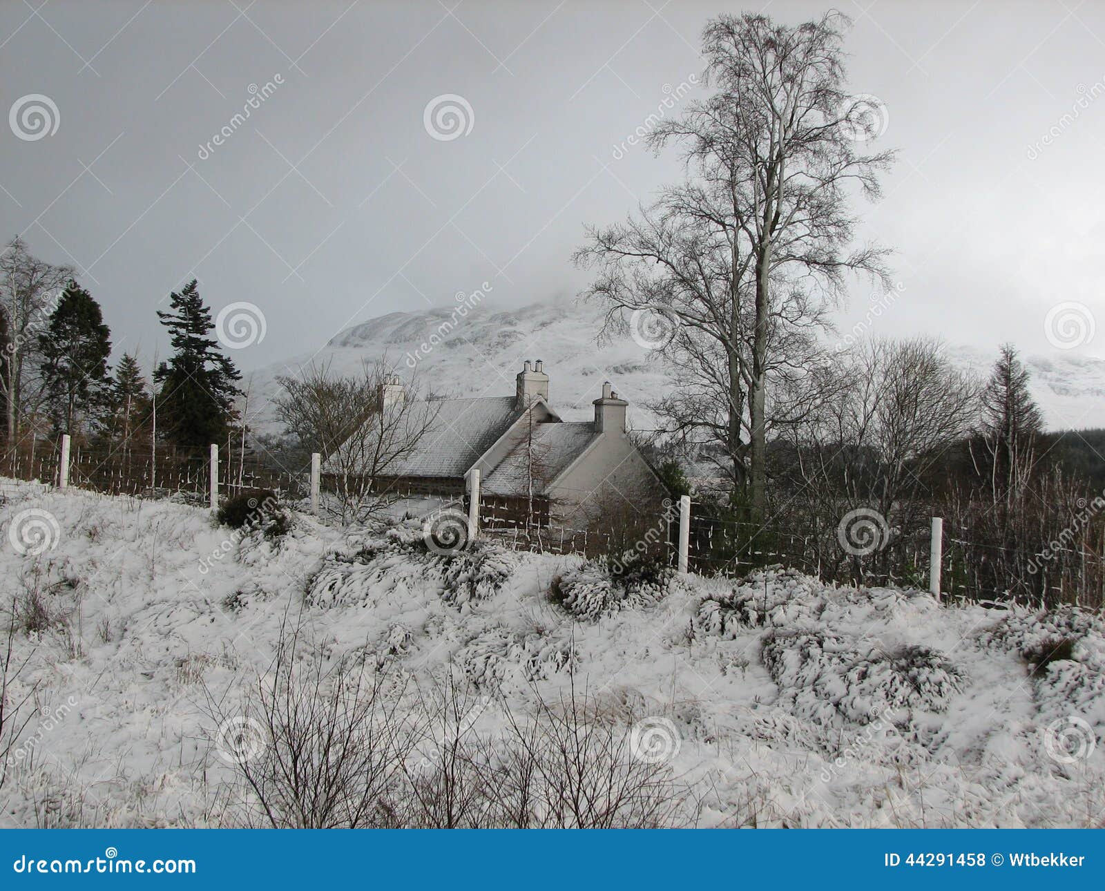 Only a WINTER S TALE. stock photo. Image of winter, landscape - 44291458