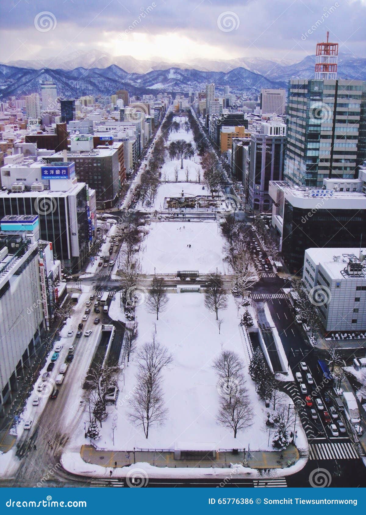 Winter in Sapporo editorial photo. Image of japan, sapporo - 65776386