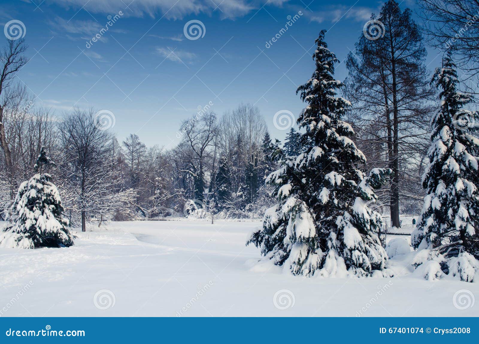 Winter scape stock photo. Image of mountain, land, winterscape - 67401074