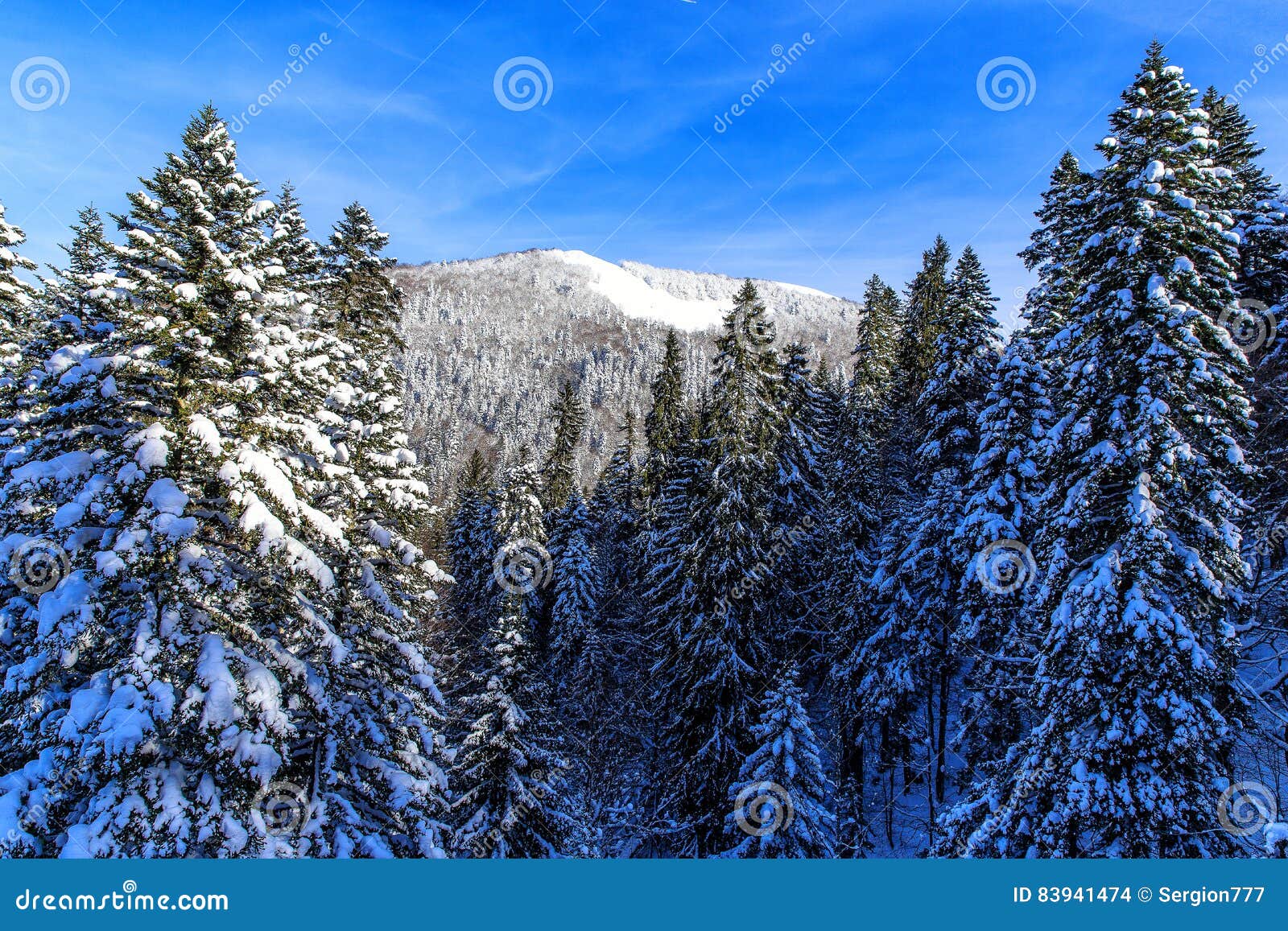 Winter scape stock photo. Image of naturescape, light - 83941474