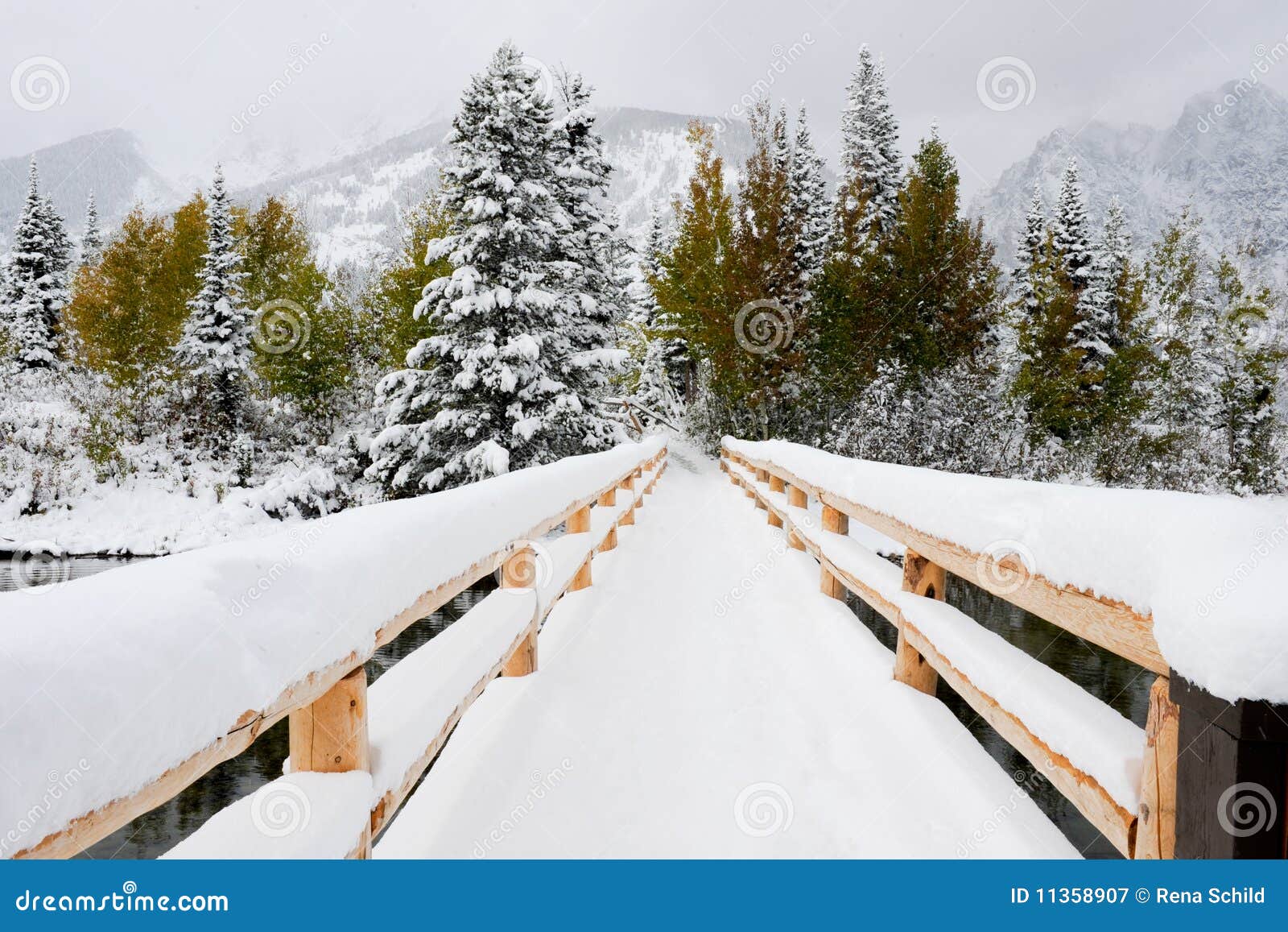 Winter Scene stock image. Image of cool, cold, postcard - 11358907