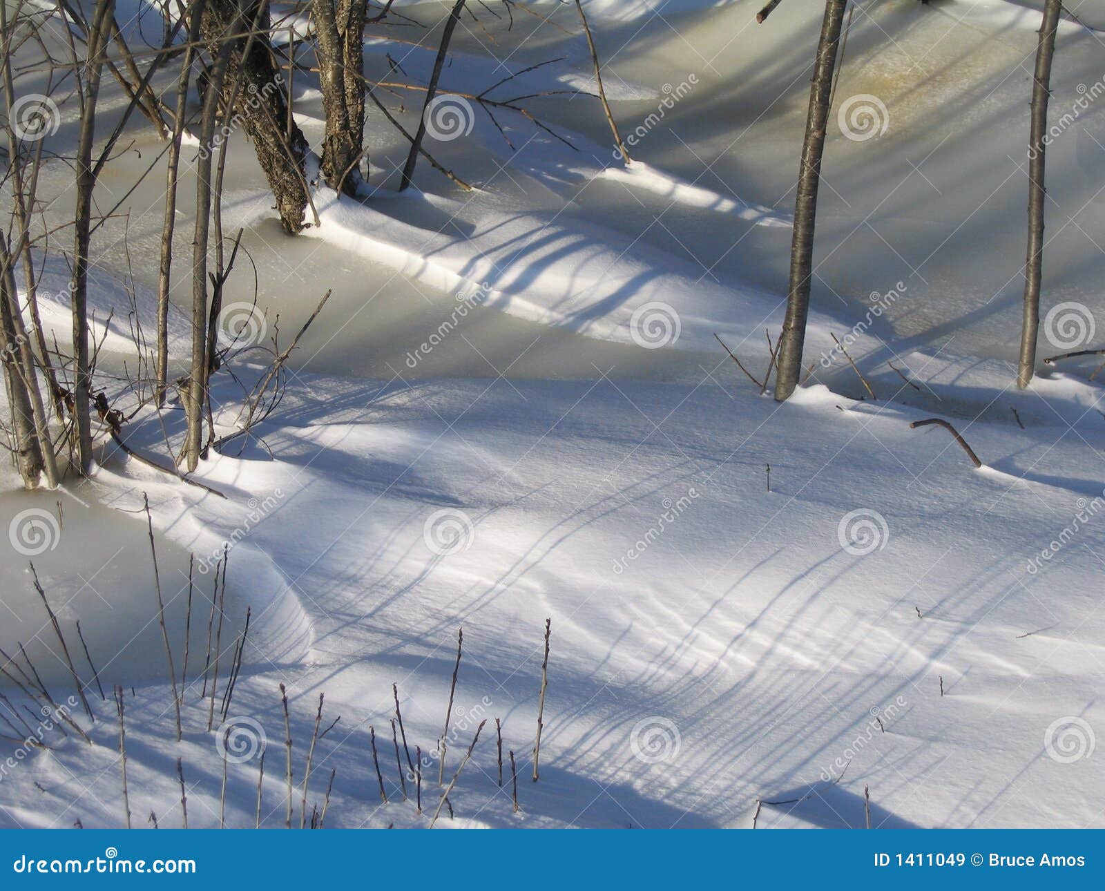 Winter scene stock image. Image of nature, coldness, ottawa - 1411049