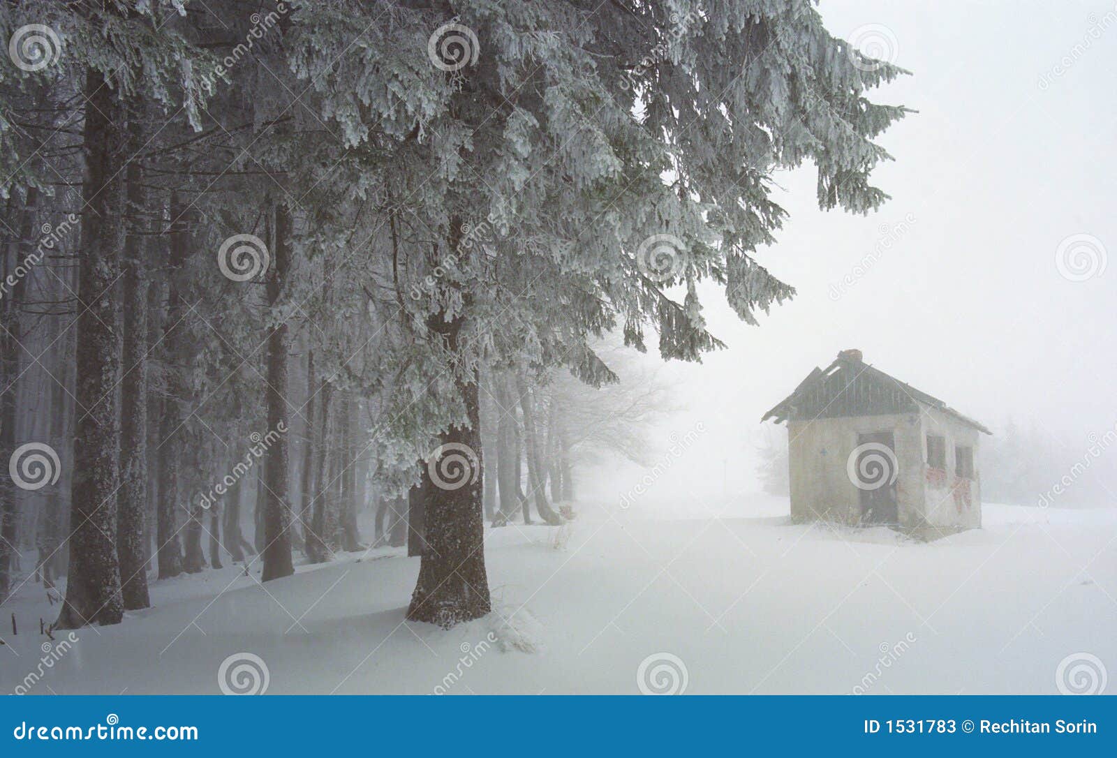 Winter scene stock image. Image of foggy, white, outdoor - 1531783