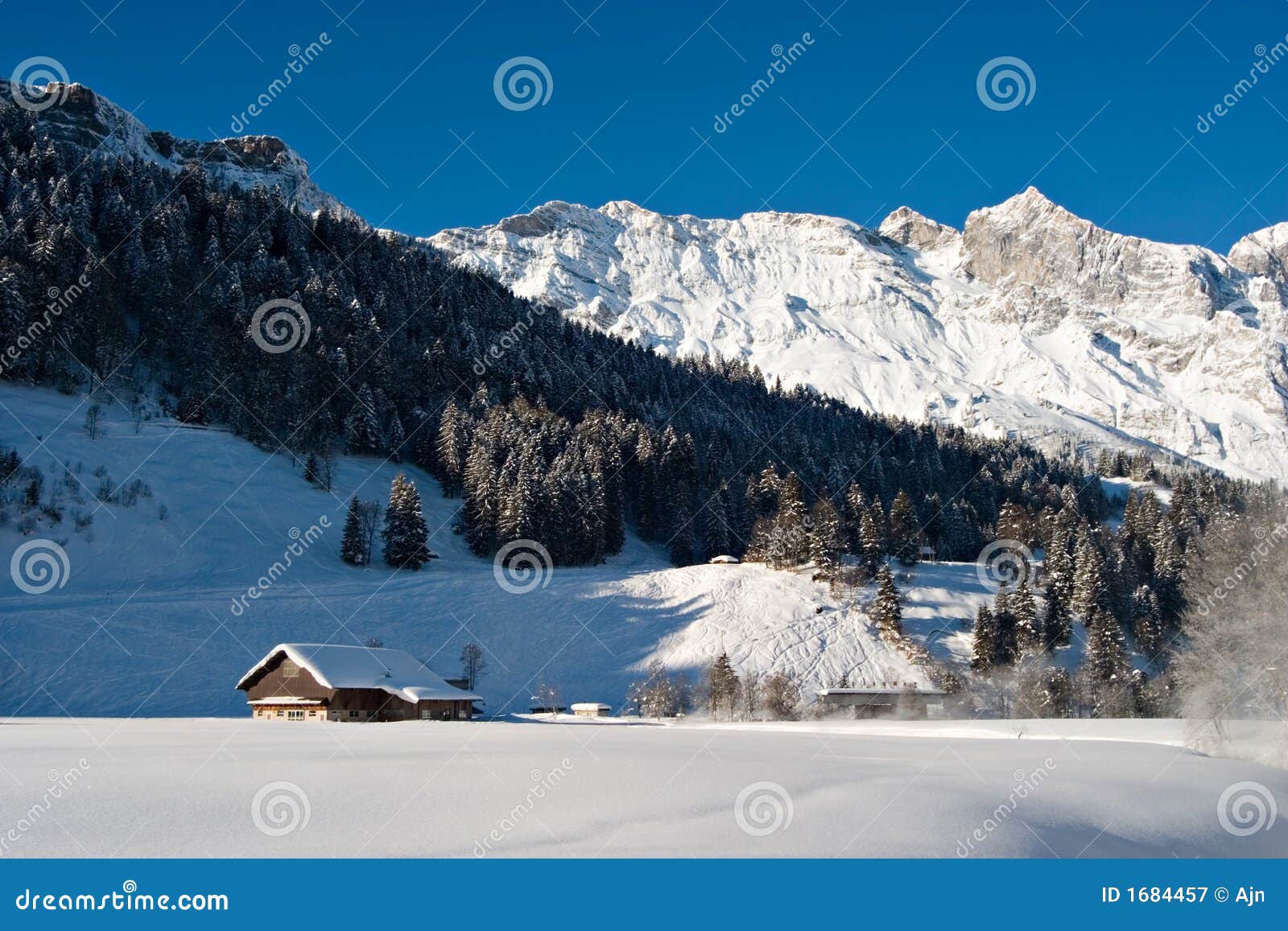 Winter Scene stock image. Image of landscape, calm, clear - 1684457
