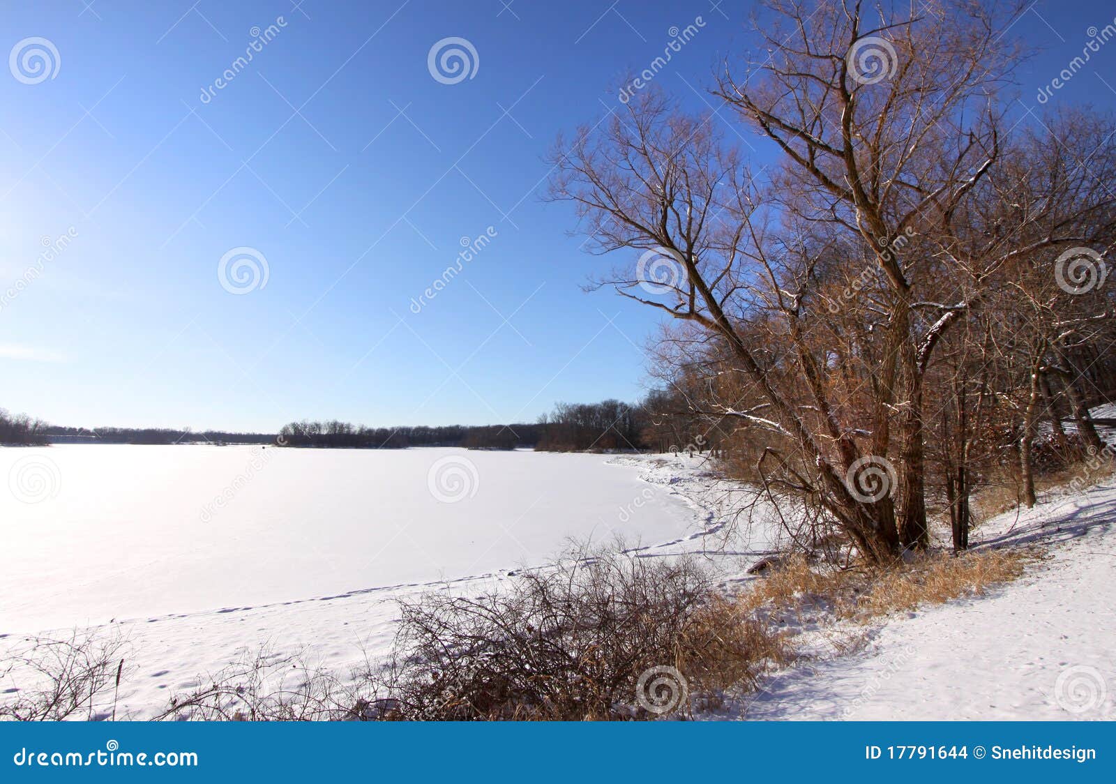 Winter scene stock photo. Image of quiet, cold, snow - 17791644