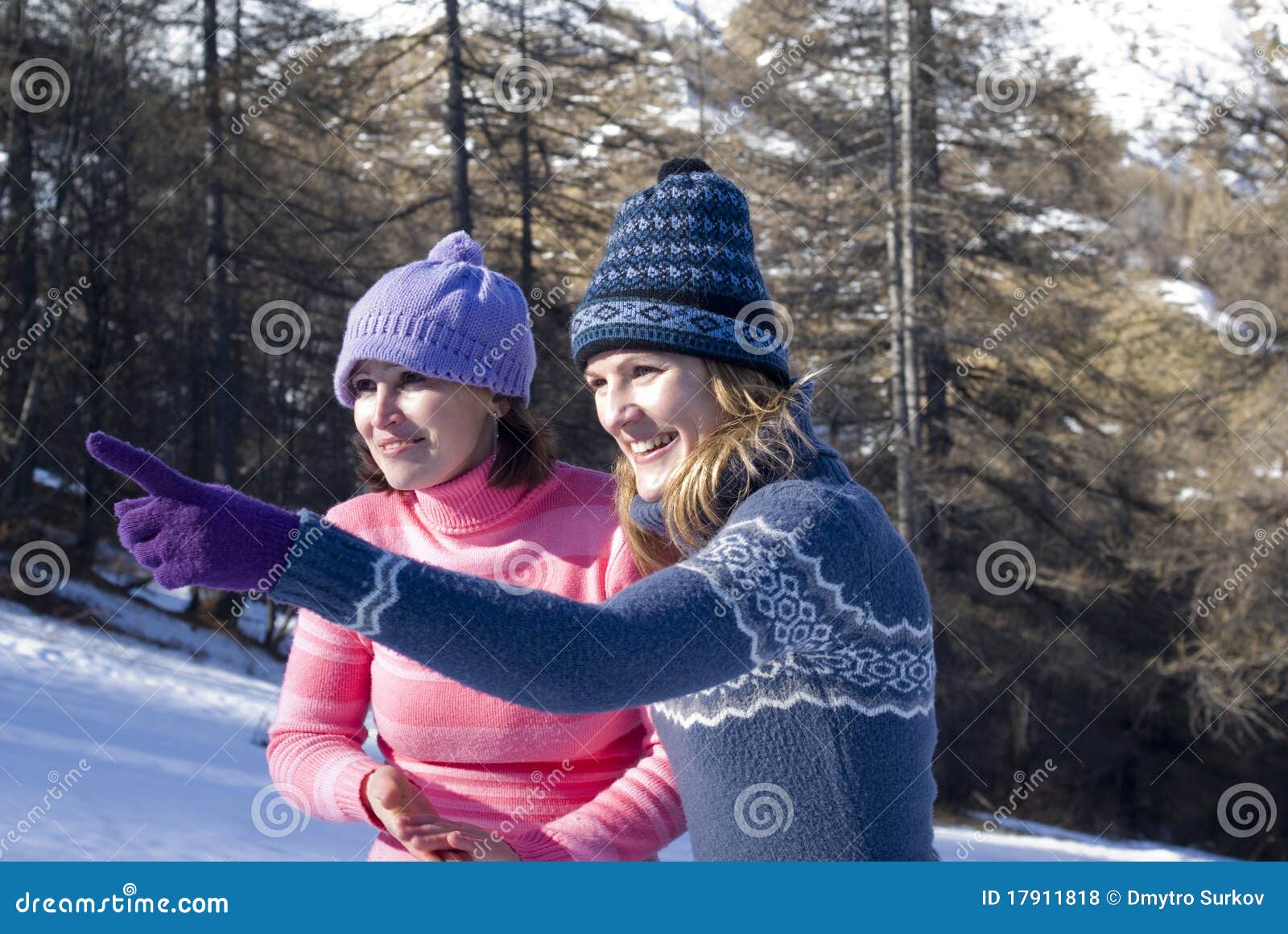 Winter scene stock photo. Image of friends, freezing - 17911818
