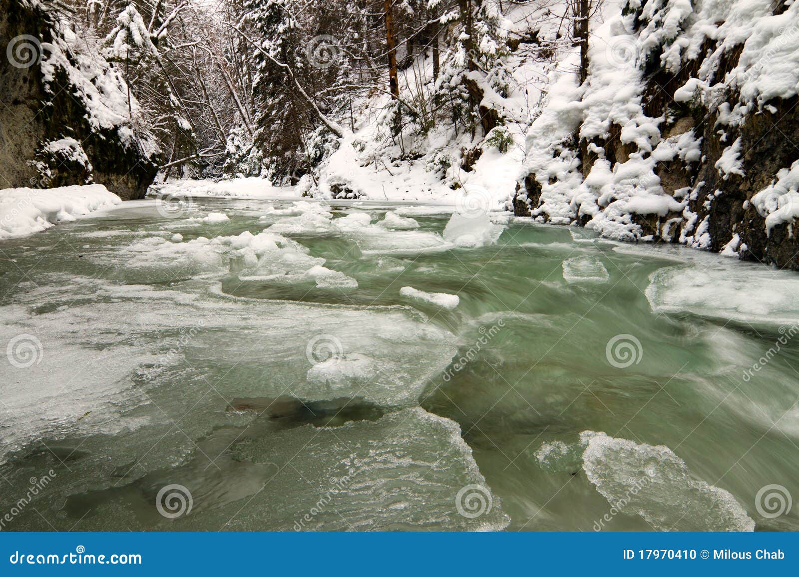 Winter scene stock photo. Image of horizontal, plant - 17970410