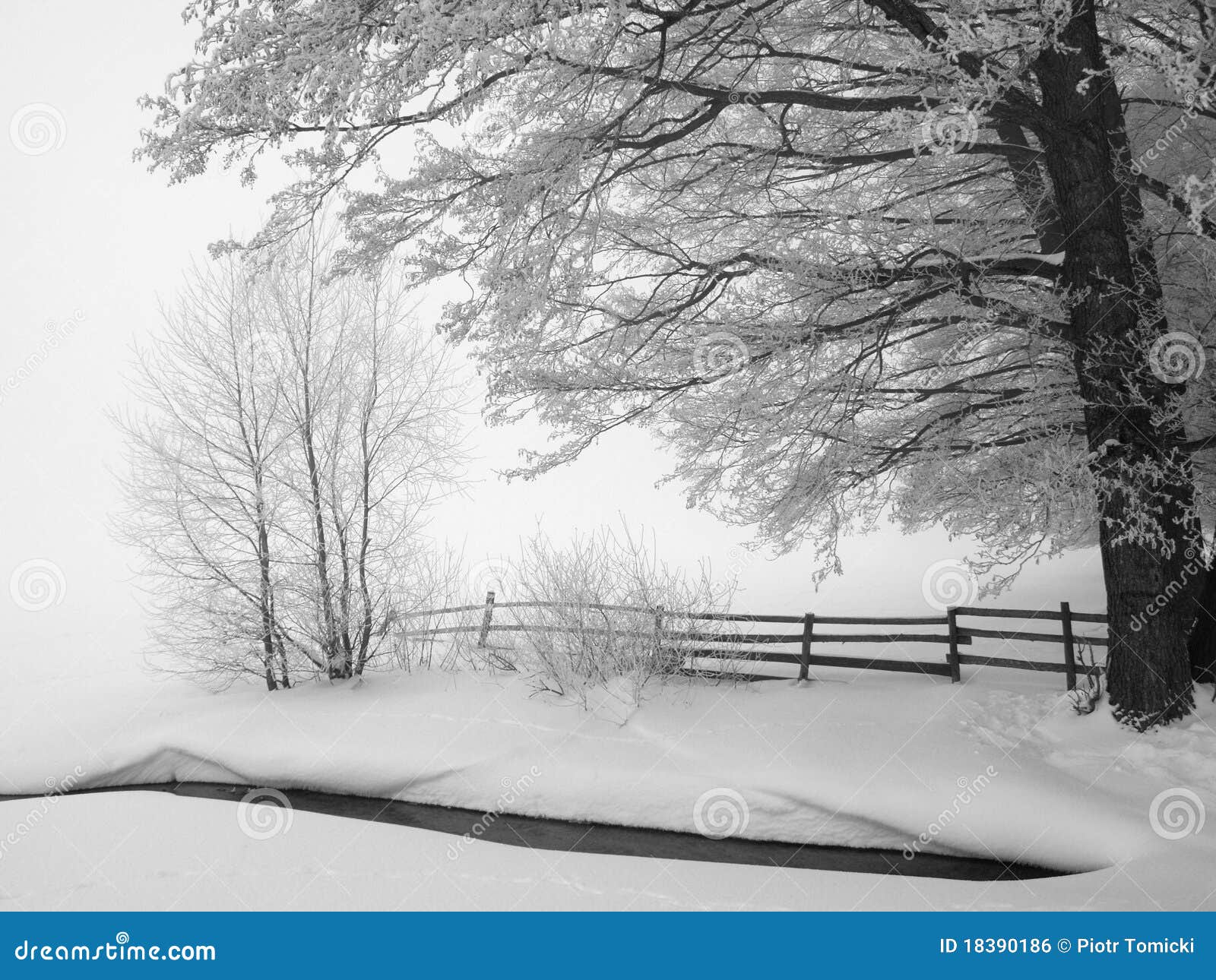 Winter scene stock photo. Image of snow, countryside - 18390186
