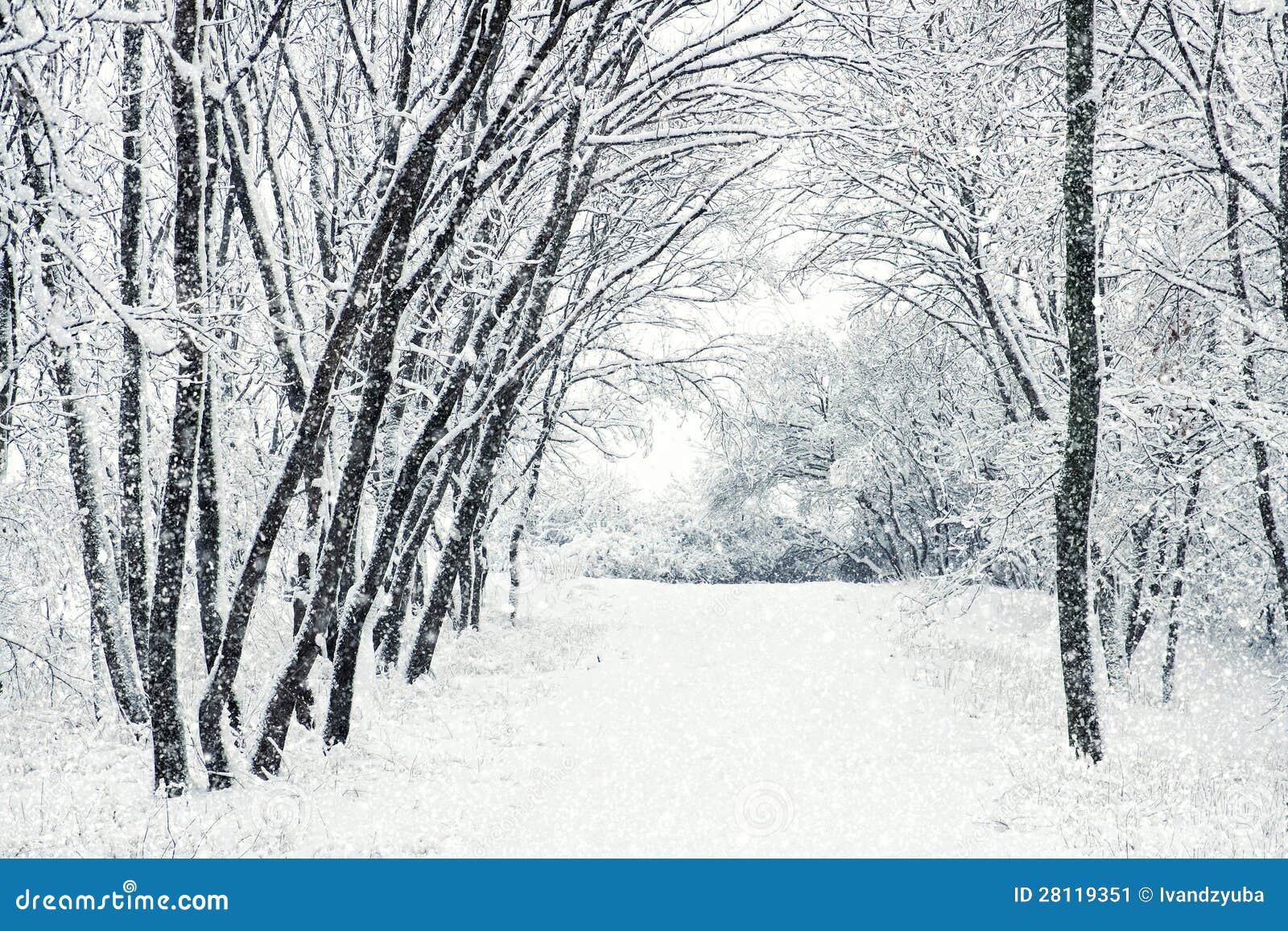 Winter scene stock image. Image of branch, light, panorama - 28119351
