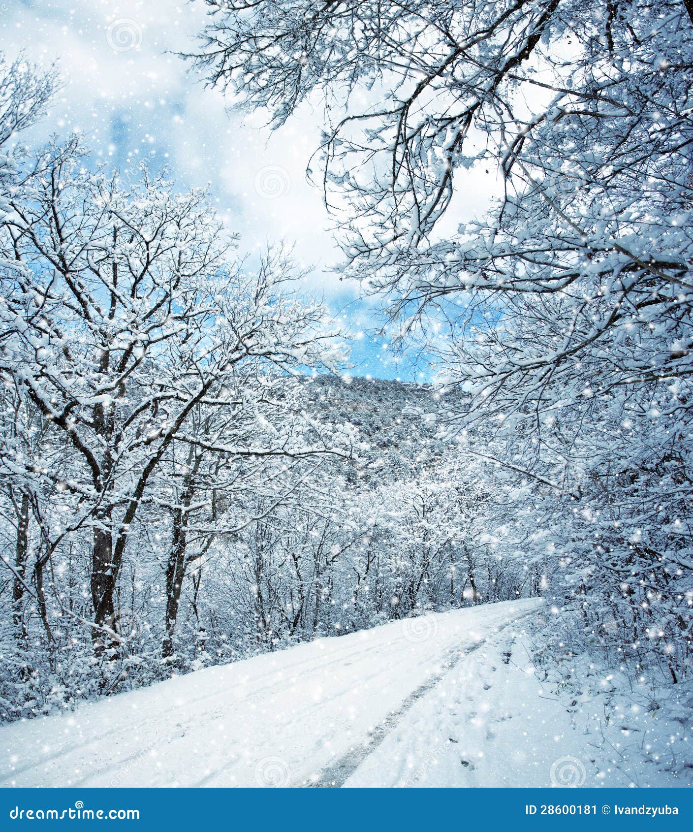 Winter scene stock image. Image of light, frosty, road - 28600181