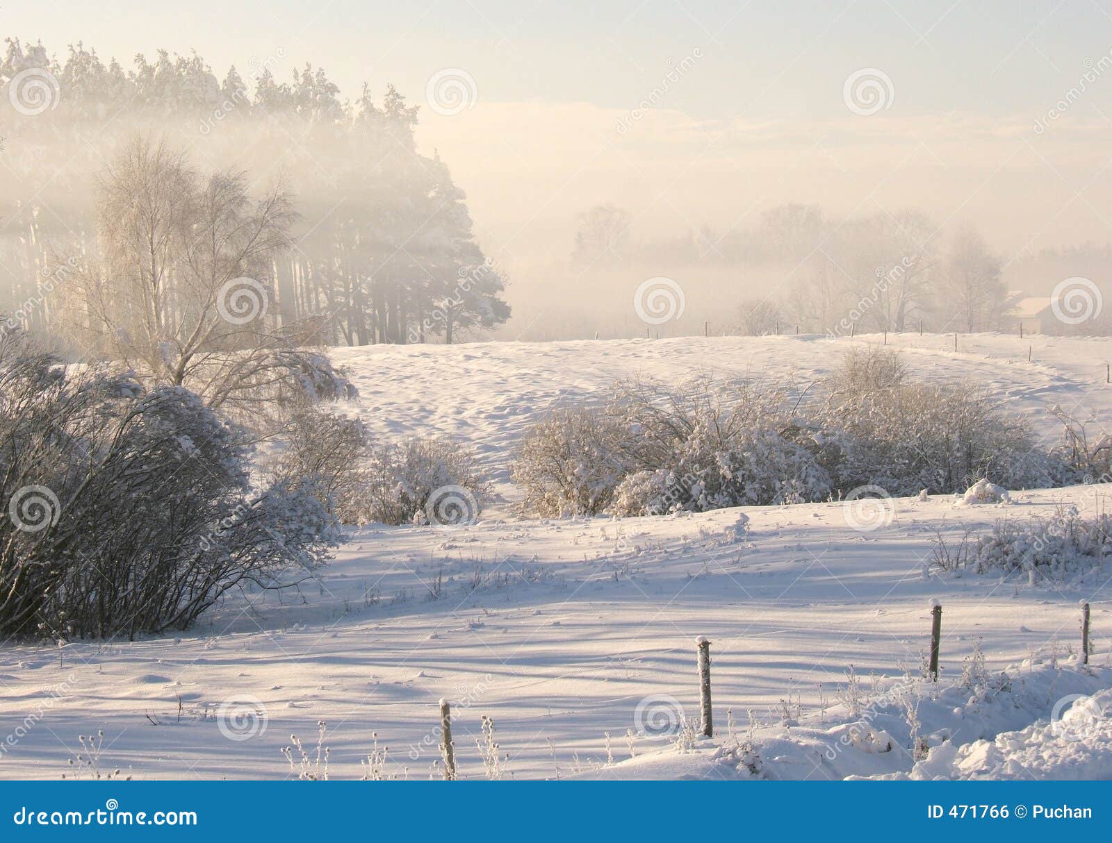 Winter scene stock photo. Image of frost, snow, season - 471766