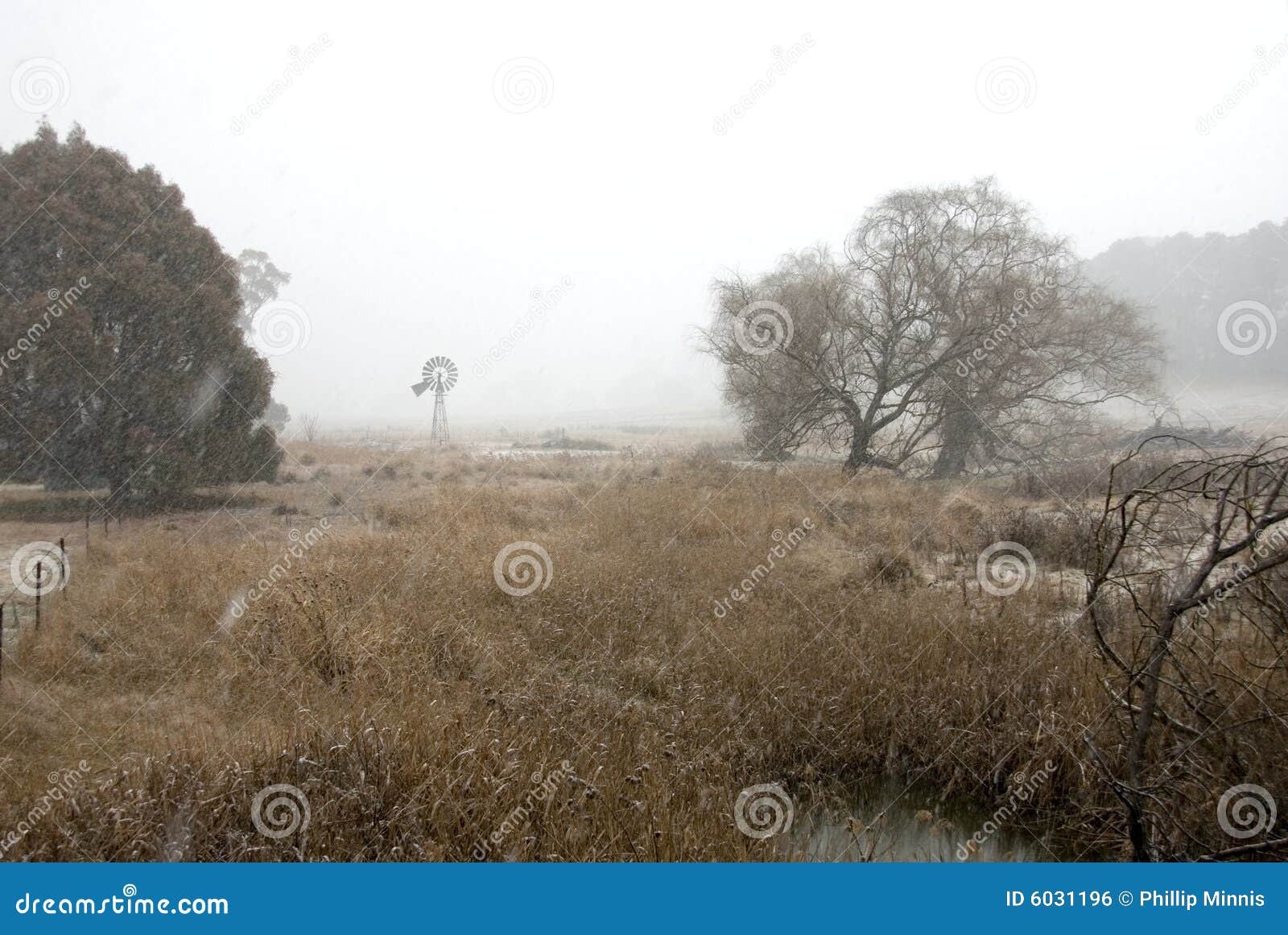 Winter Scene stock photo. Image of snow, australia, winter - 6031196