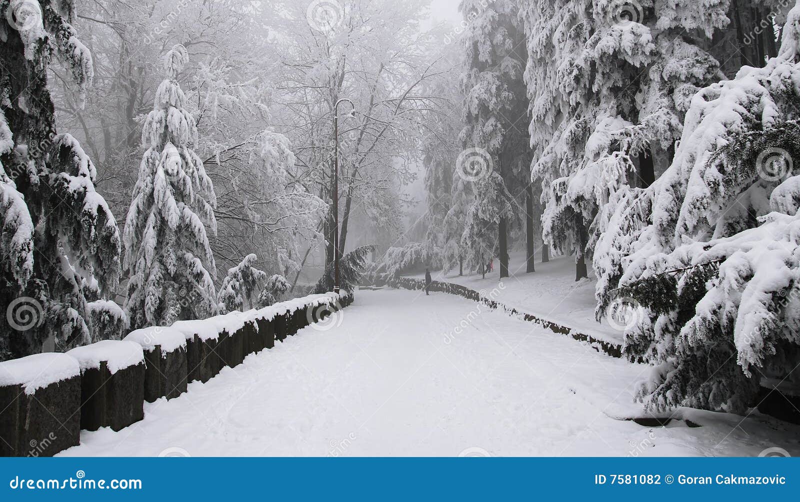 Winter scene stock photo. Image of frosty, season, scene - 7581082
