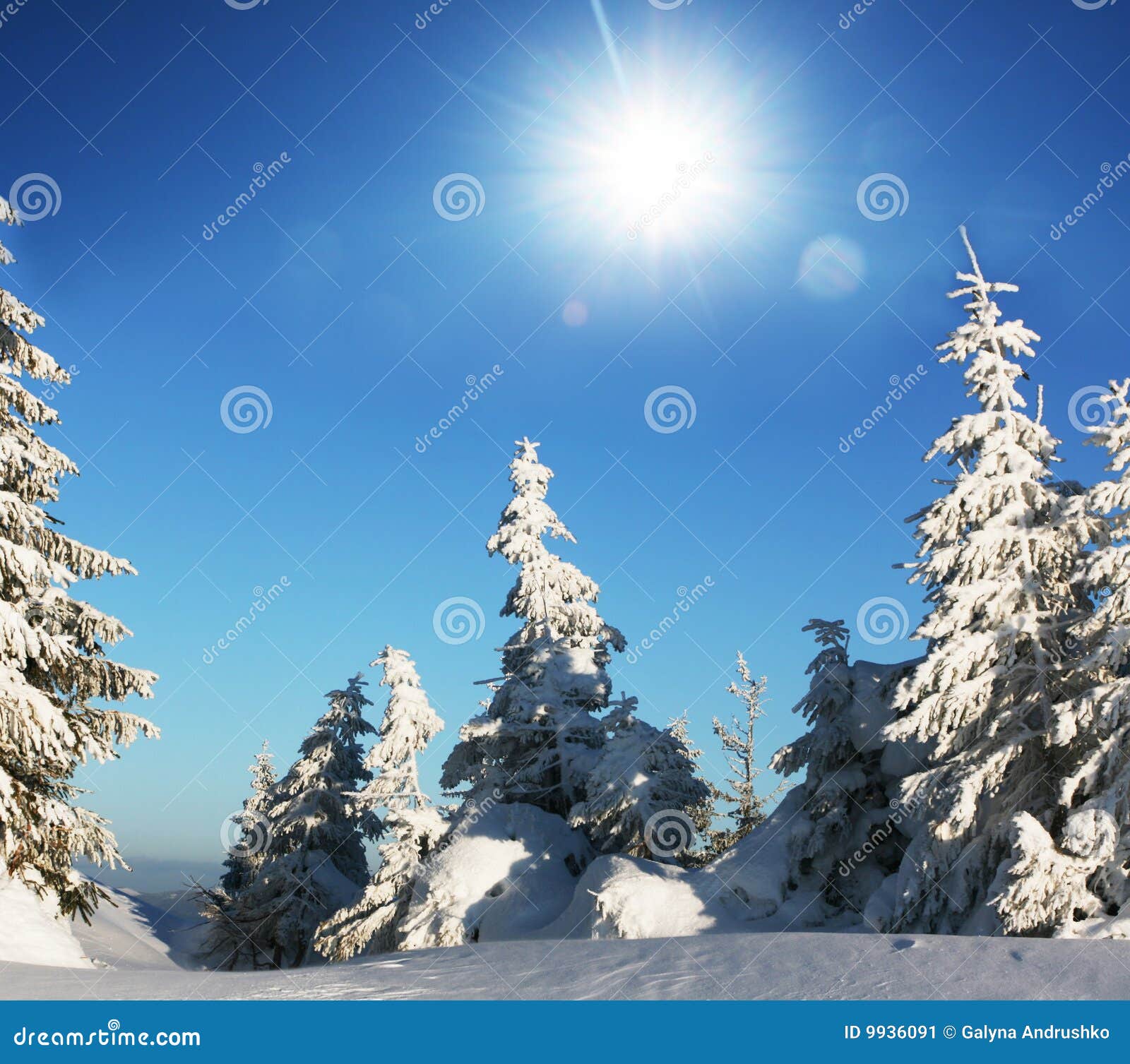 Winter scene stock image. Image of evening, outside, frost - 9936091