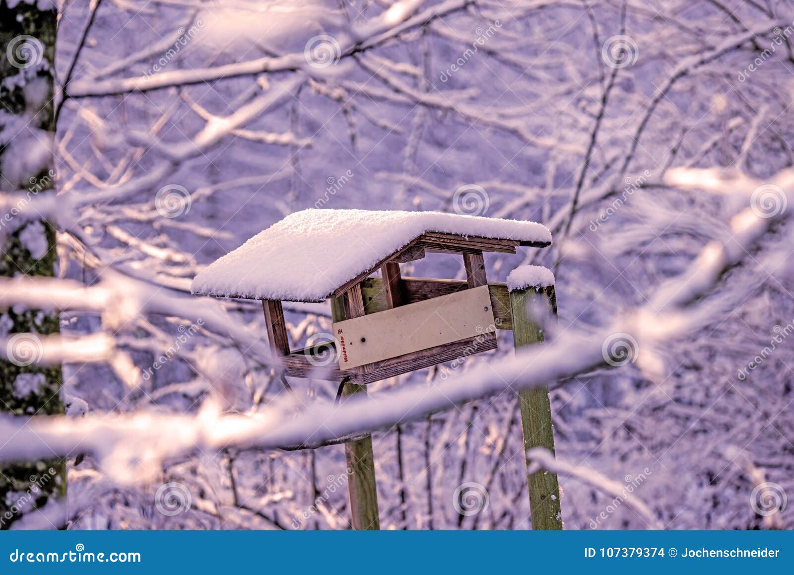 Winter Scene, Bird House with Snow Stock Photo - Image of view ...