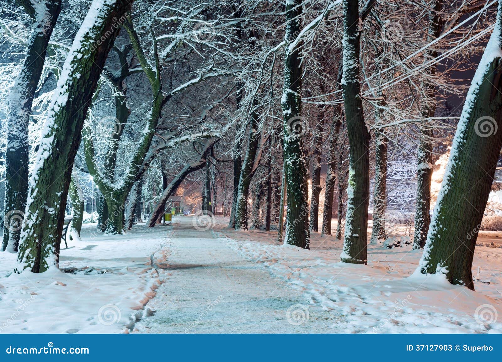 Winter scene stock image. Image of path, light, colorful - 37127903