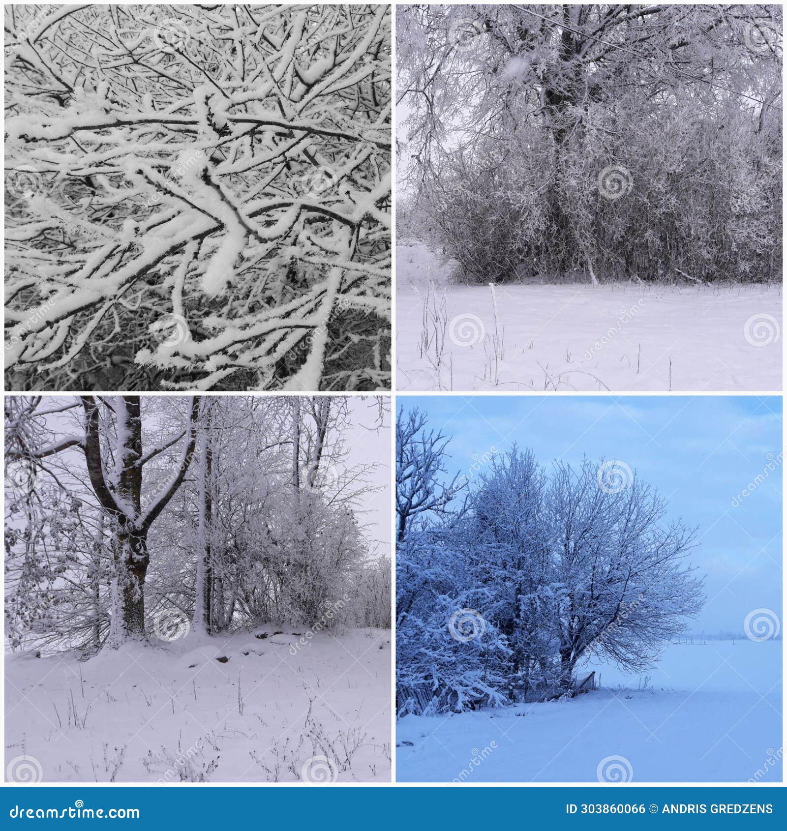 Winter scene collage stock photo. Image of sight, collage - 303860066