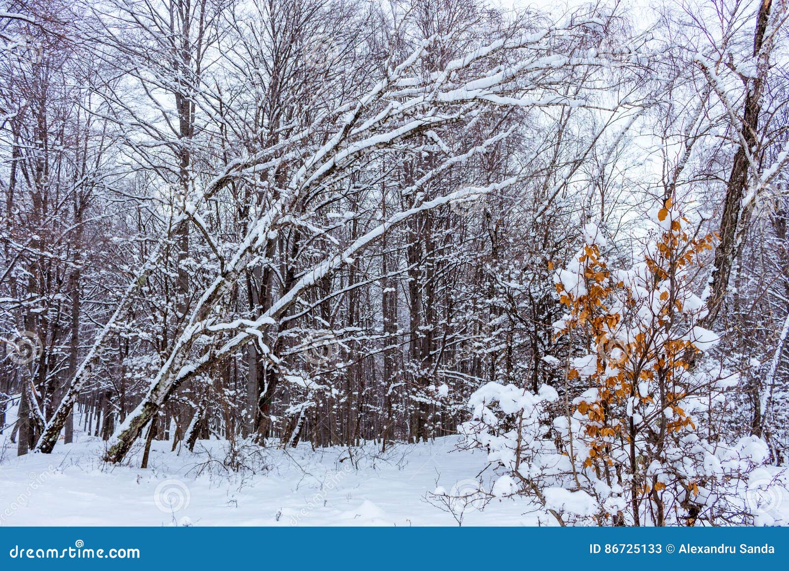 Winter scene stock image. Image of high, europe, scene - 86725133