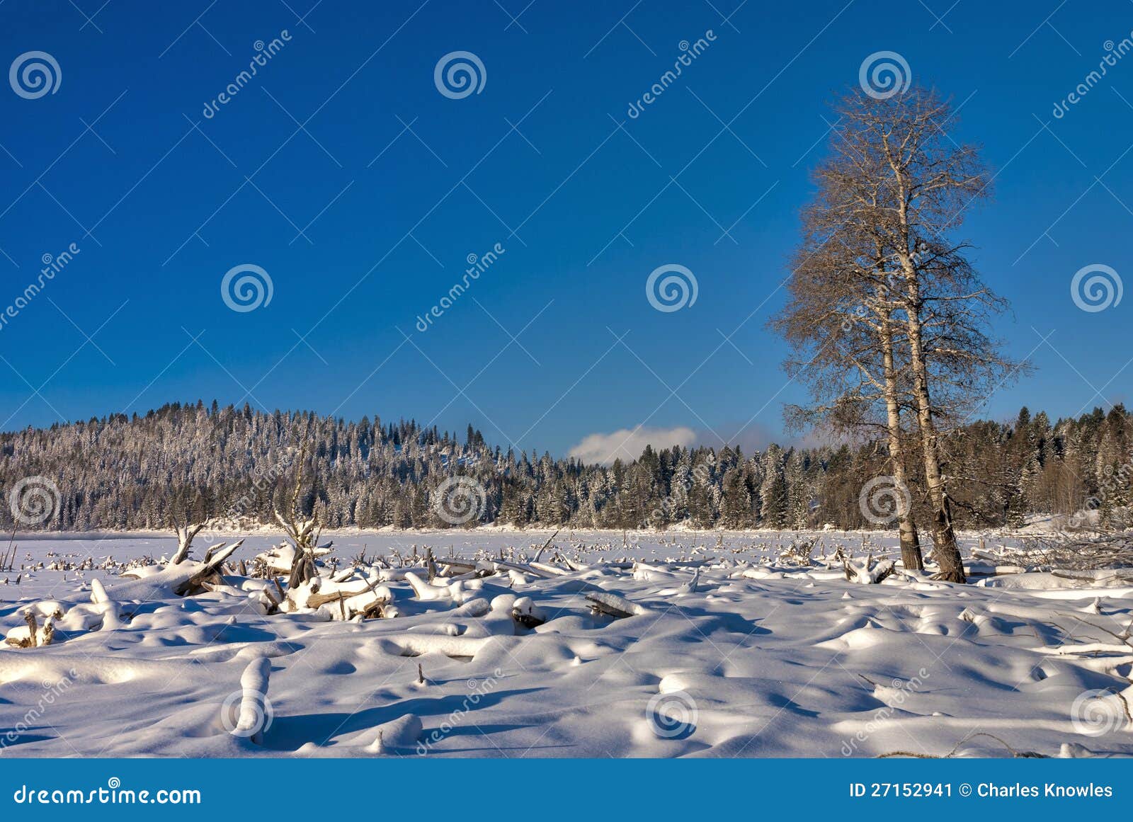 Winter Scene on a Frozen High Mountain Lake Stock Image - Image of ...