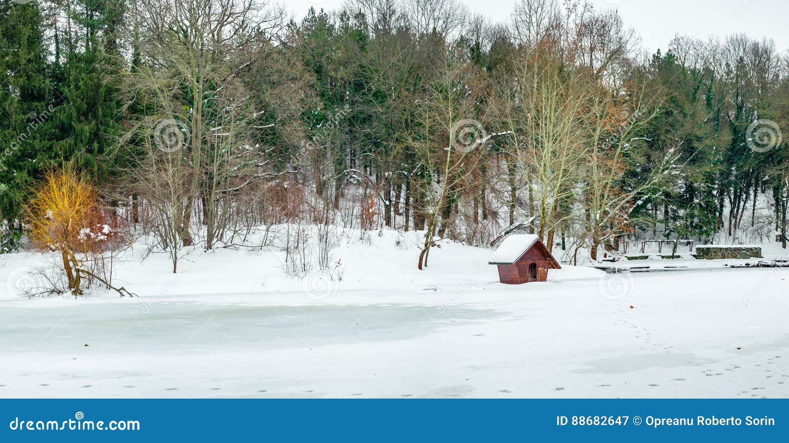 Winter Scene with Frozen Lake Stock Image - Image of outdoor, travel ...