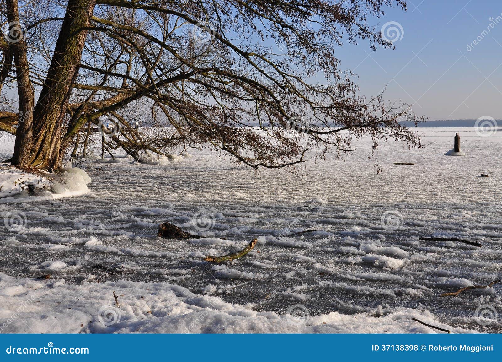 Winter Scene: Frozen Lake and Tree Stock Photo - Image of season ...