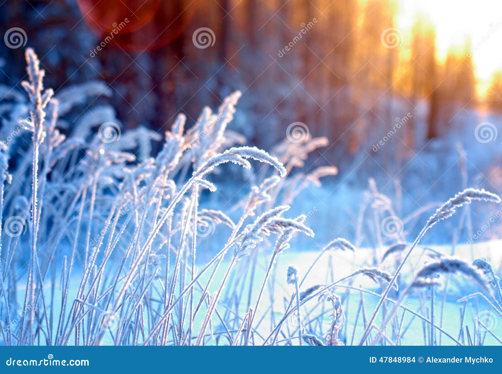 Winter scene stock photo. Image of snowflake, blue, winter - 47848984