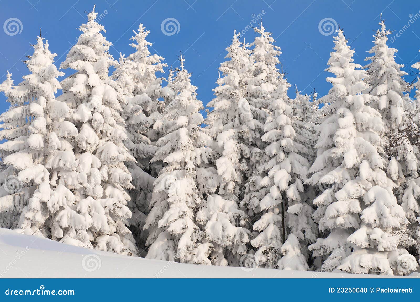 Winter Scene with Ice and Snow Stock Photo - Image of polar, crystal ...