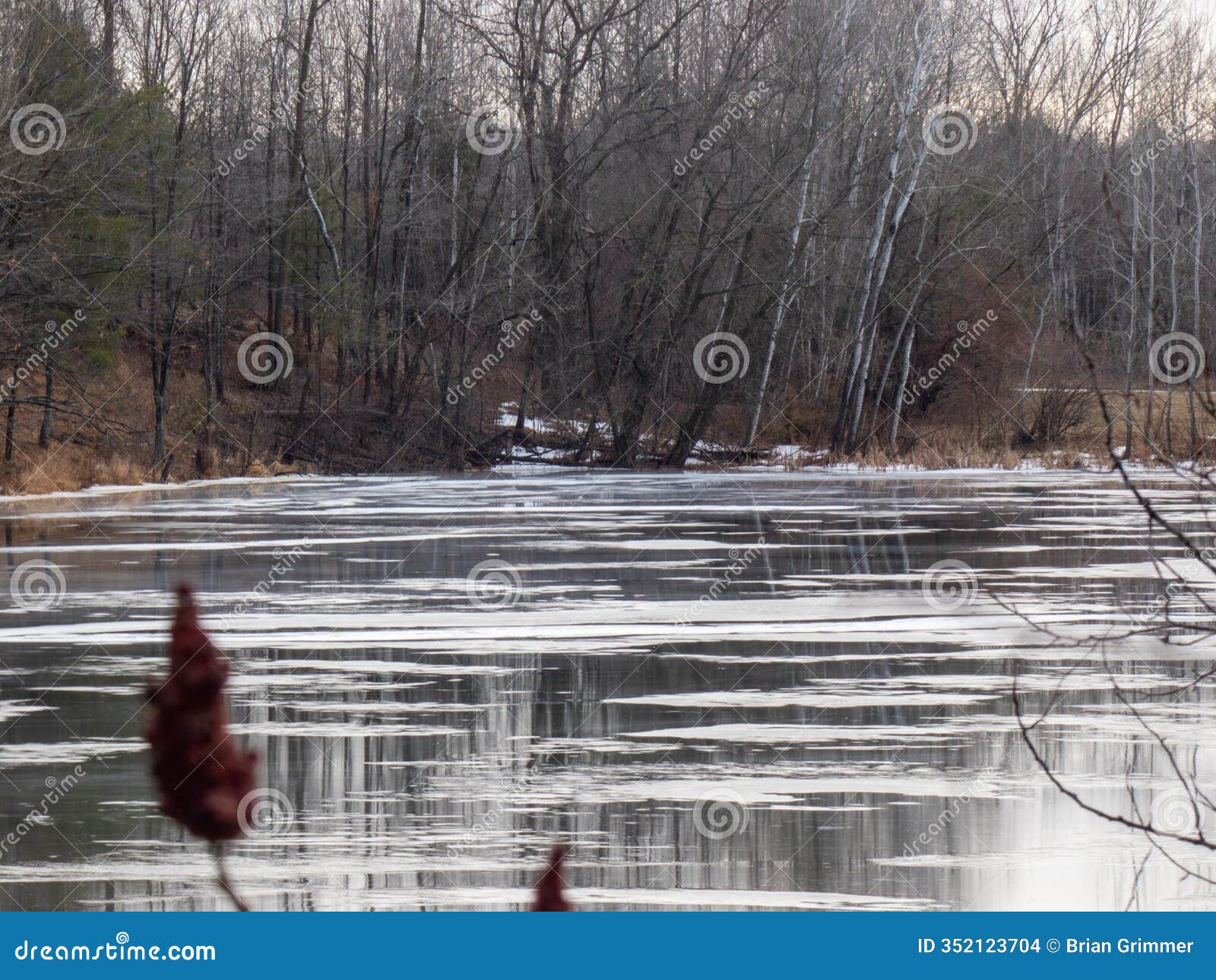 A Winter Scene of Ice, Snow, and Reflections of Trees and Sky on Water ...
