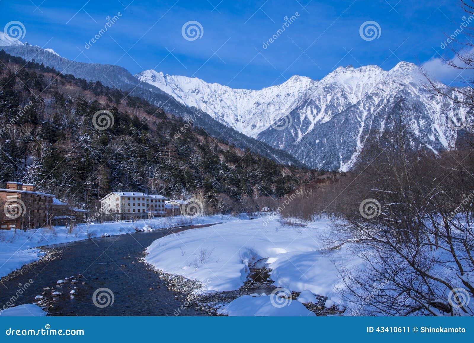 Winter scene of Japan stock image. Image of scenery, trees - 43410611