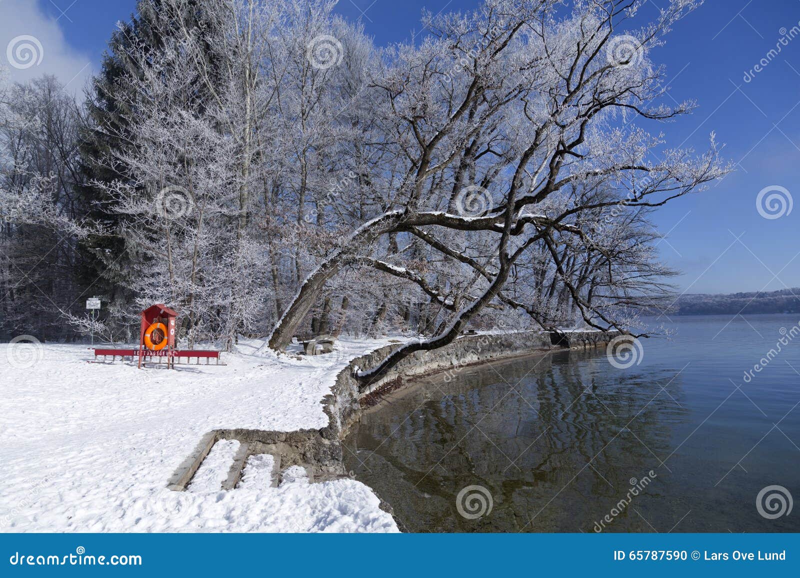 Winter scene at the lake stock photo. Image of reflections - 65787590