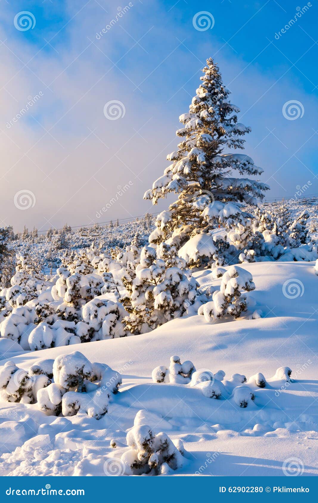 Winter scene in mountains stock photo. Image of holiday - 62902280