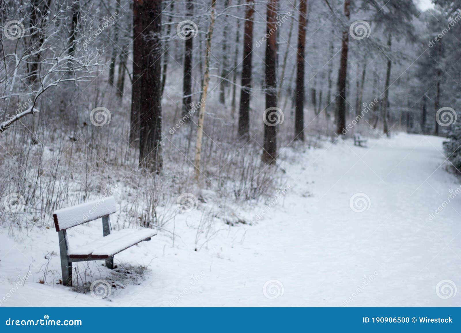 Winter Scene a a Park with Snow-covered Benches and Path Lined with ...