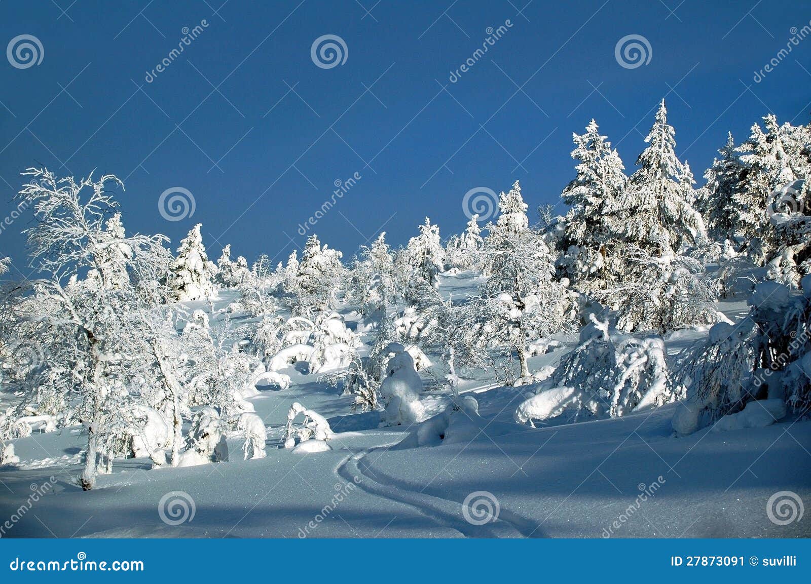 Winter Scene with a Skiing Track, Lapland Finland Stock Image - Image ...