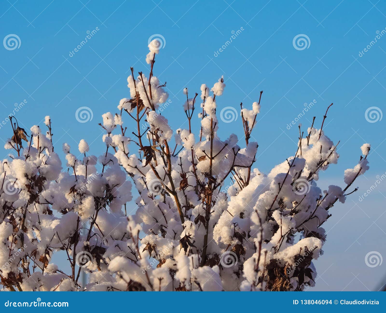 Winter scene with snow stock photo. Image of cold, trees - 138046094